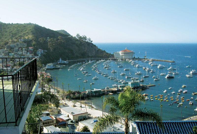 Marina Times - Chill out in Catalina