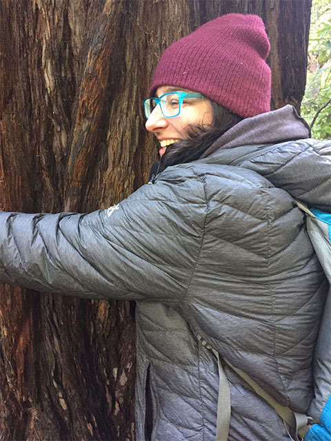 Marina Times - Hug a tree for Valentine’s Day