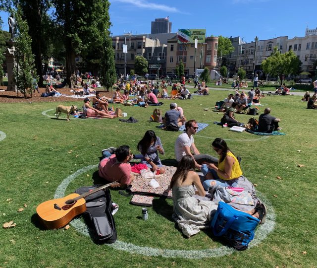 Marina Times - Pack a picnic to go